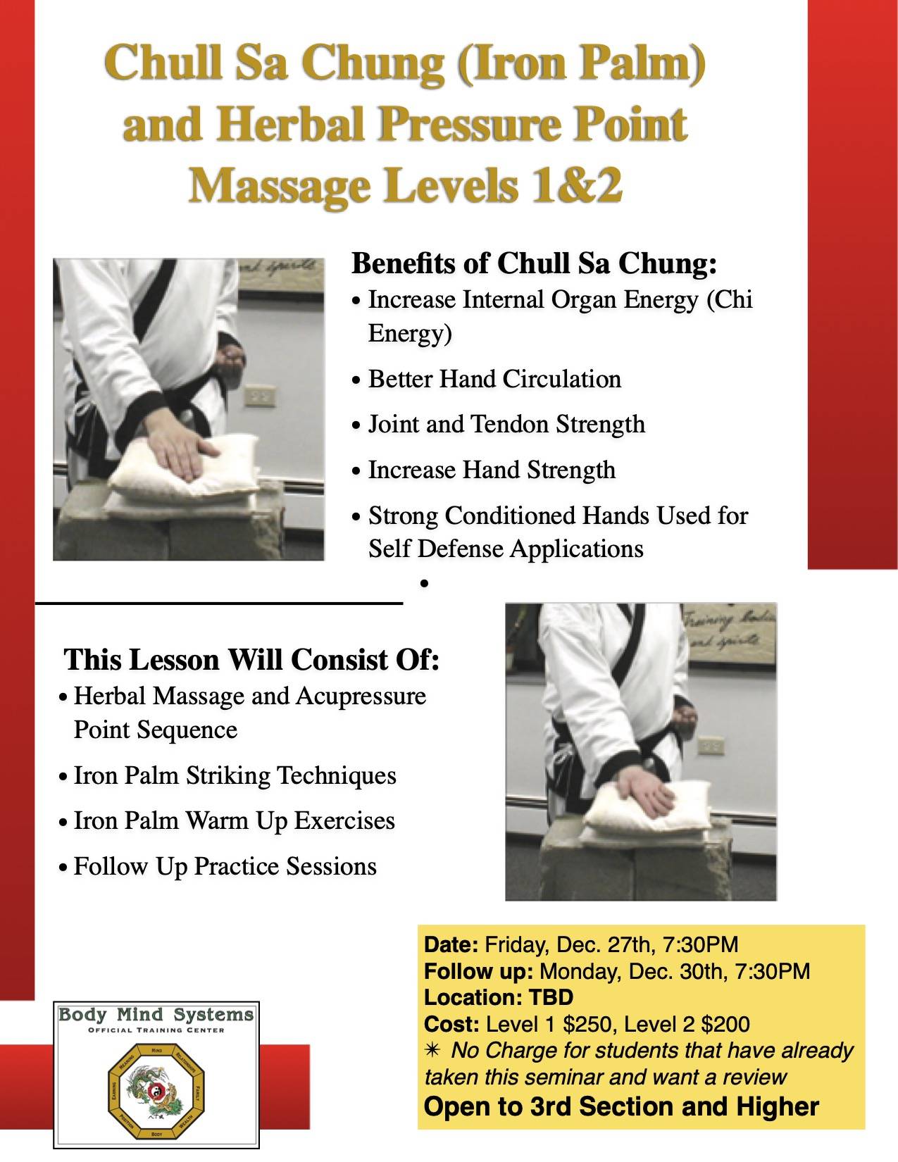 Chull Sa Chung (Iron Palm) Lesson - Body Mind Systems