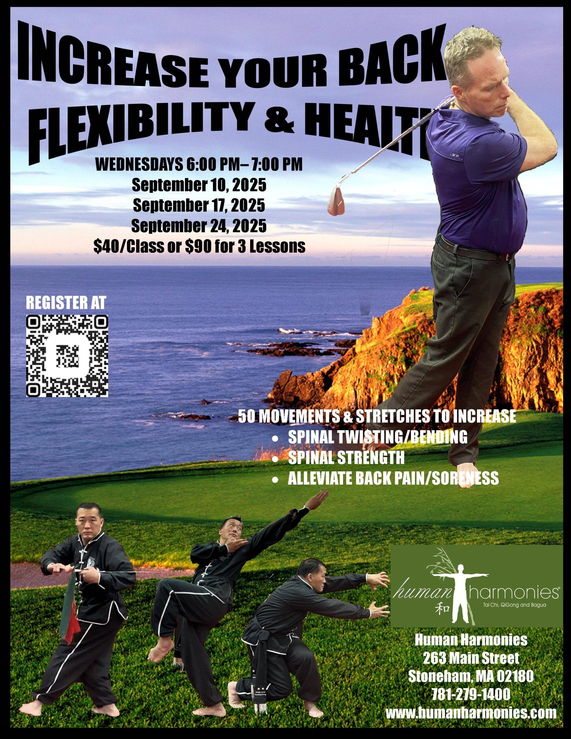 Back Flexibility Workshop Body Mind Systems